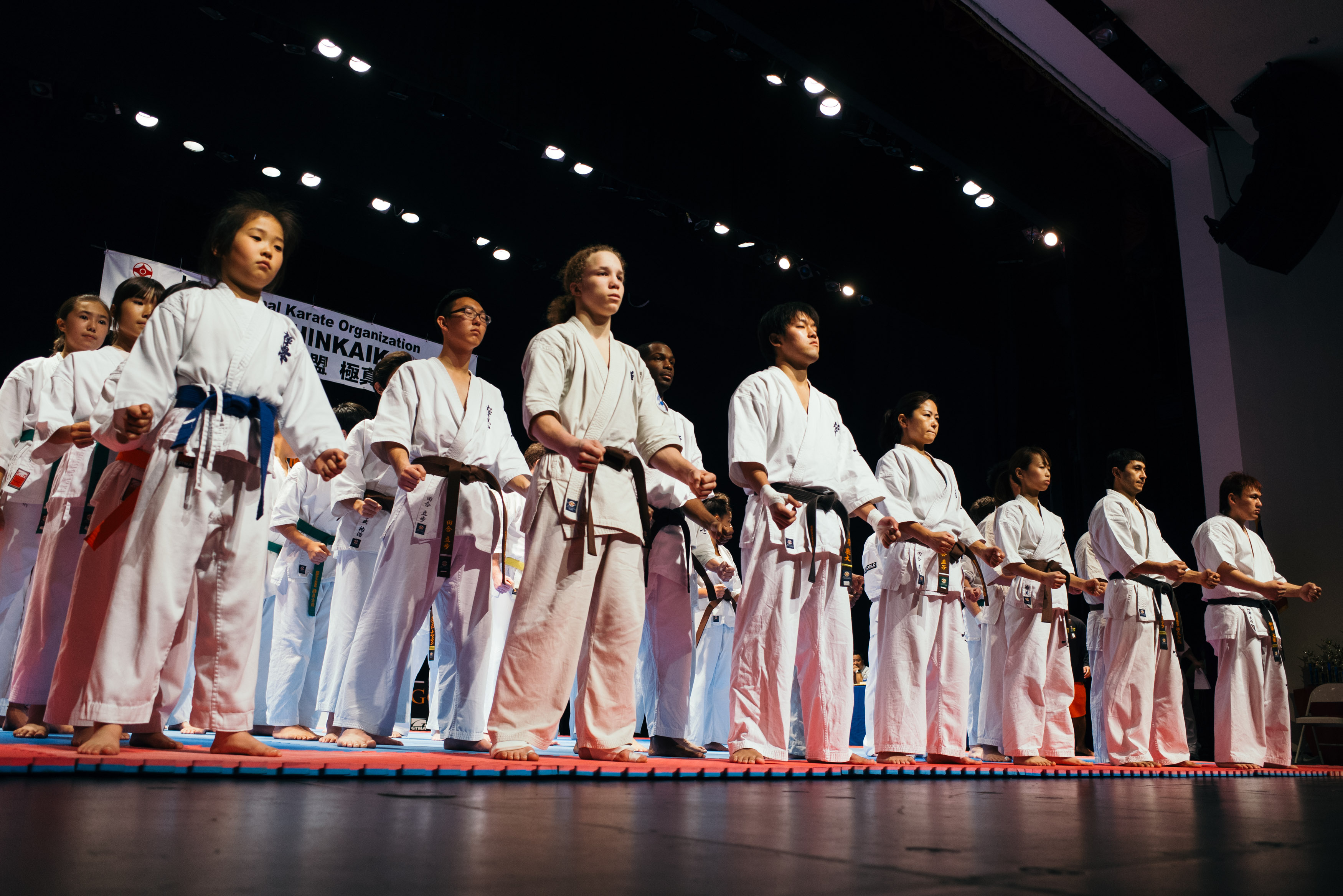 Photos from 2014 | U.S. Weight Category Karate Championships 2017
